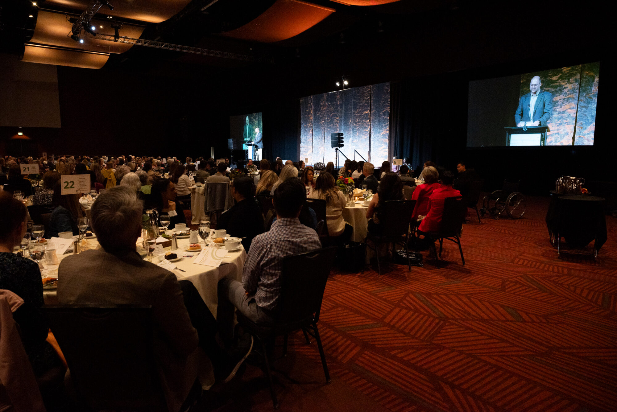 Home - Bellevue LifeSpring